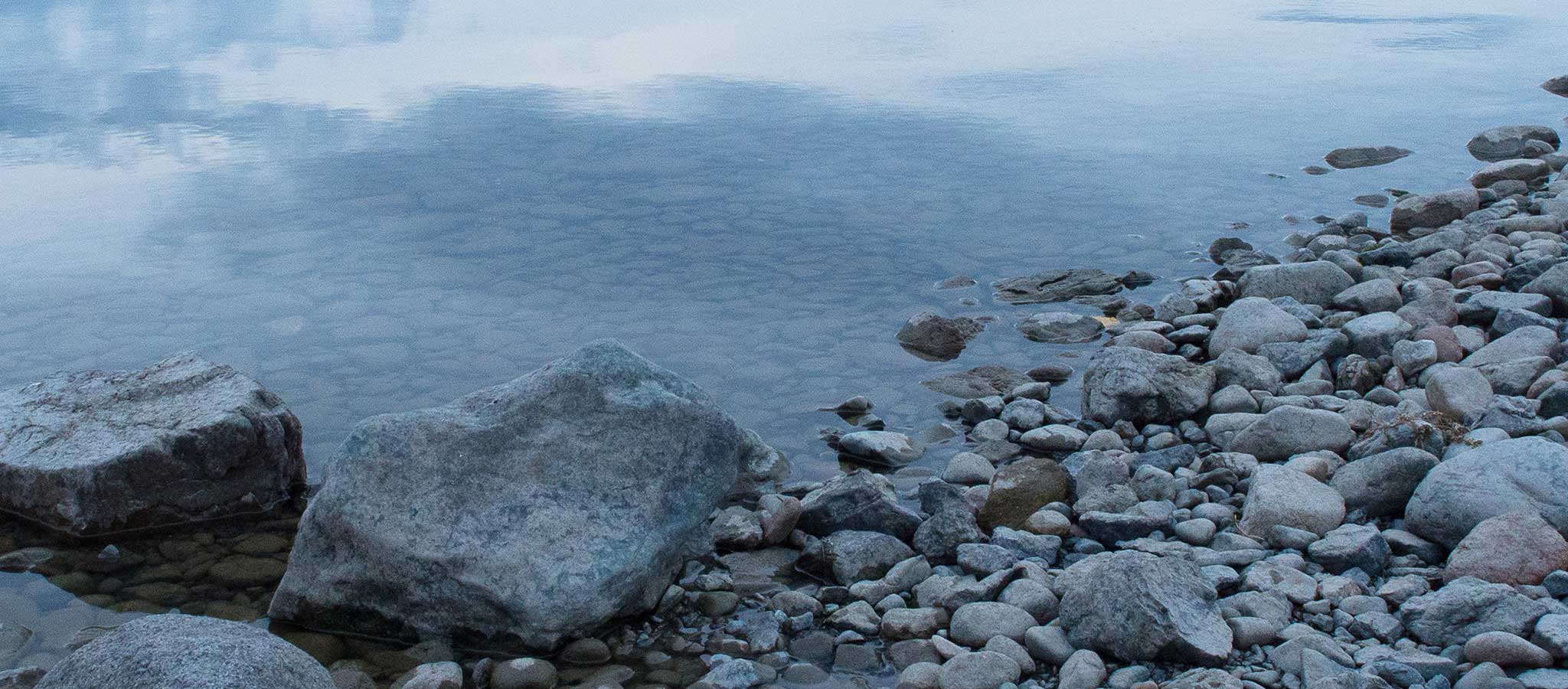 International Education | EBUS Academy