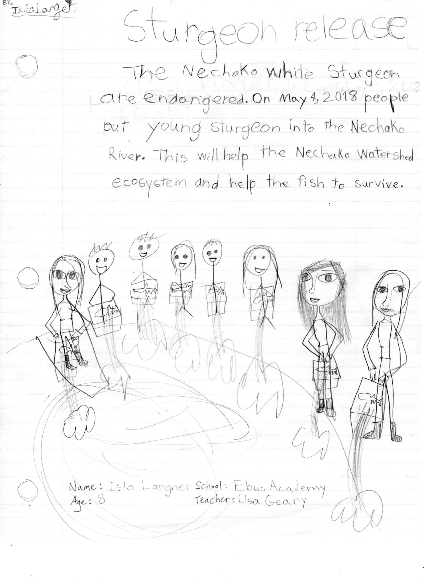 Isla2 | EBUS Academy